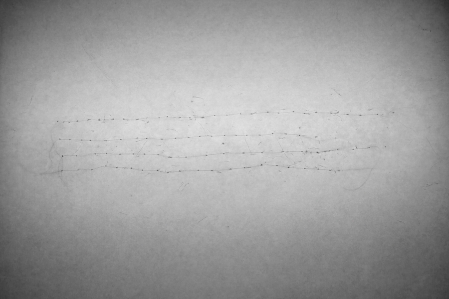 Life Writing Paper 2 – Ting Zhou >> mHealth Design Lab